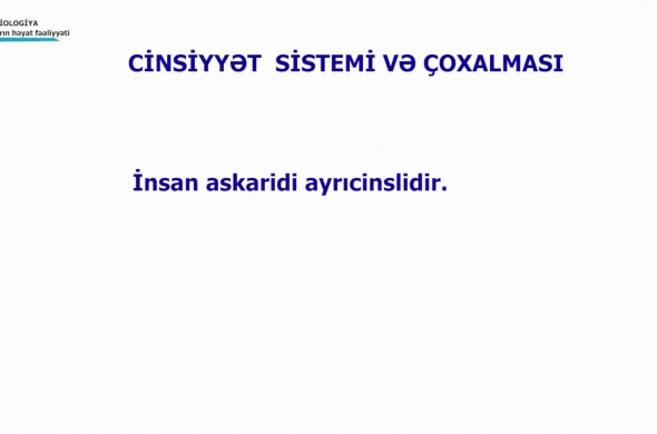 Video.edu.az